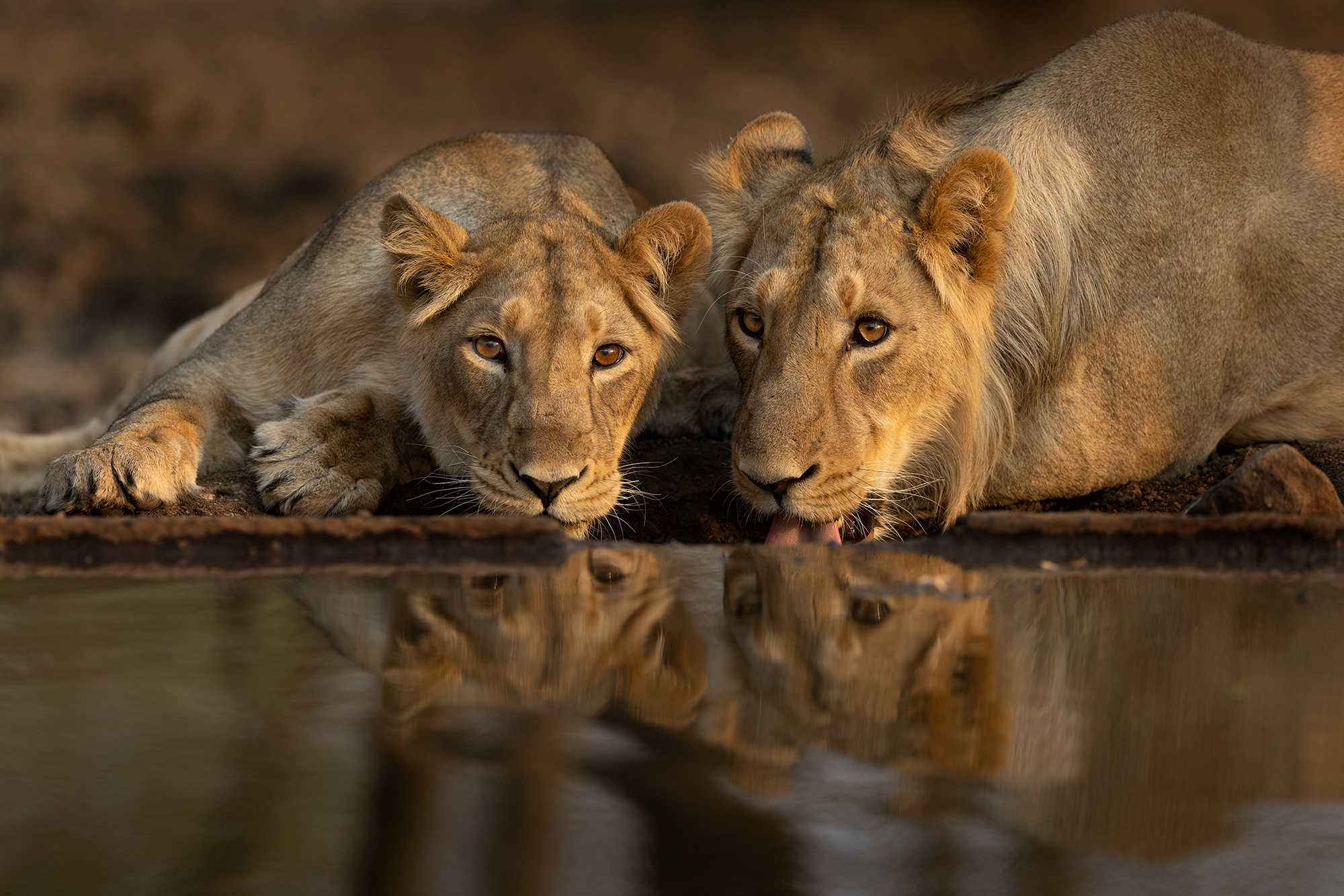 Photography Tours – Sachin Rai